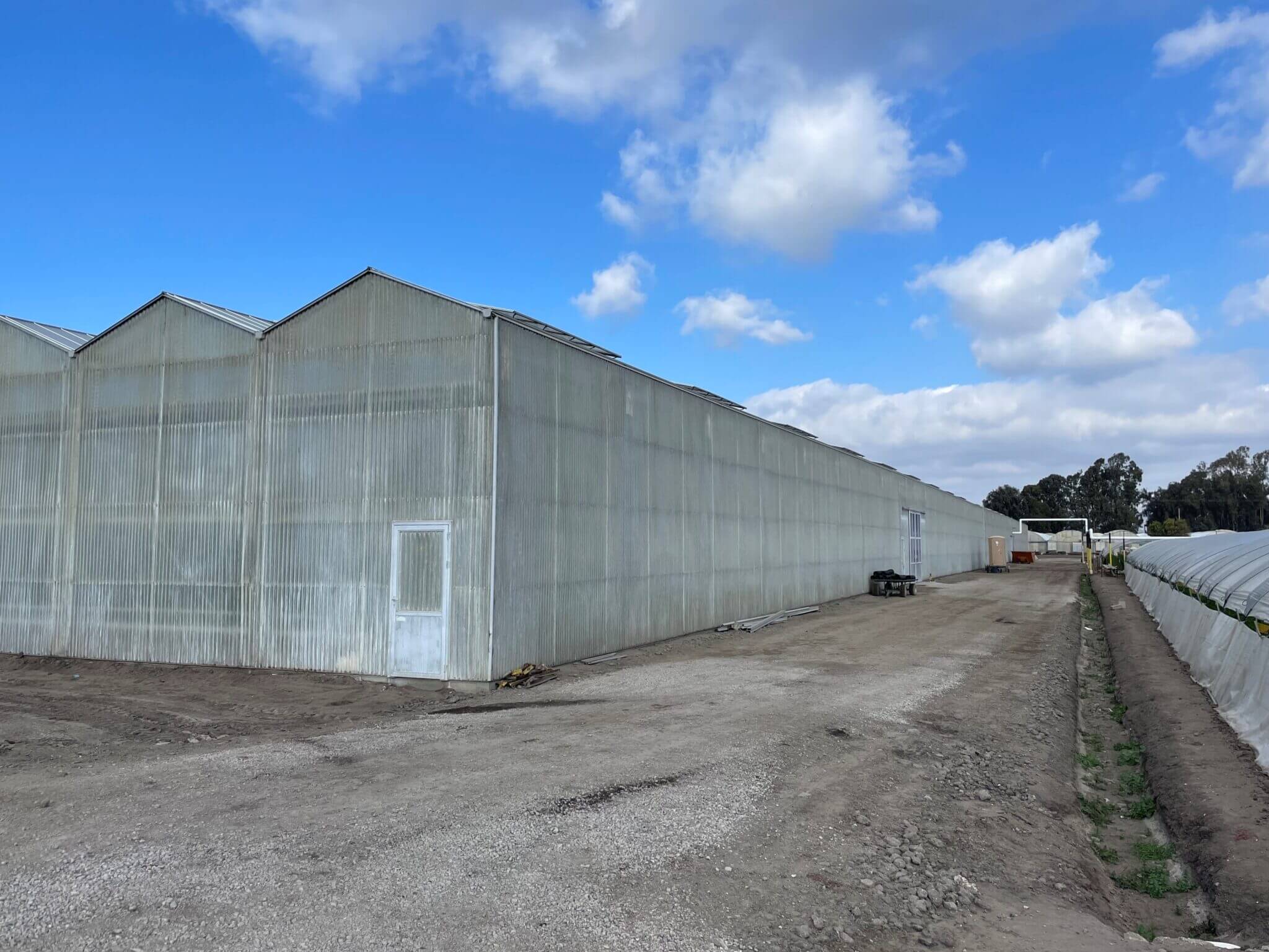 Farm & Facility Tour – Pyramidflowers