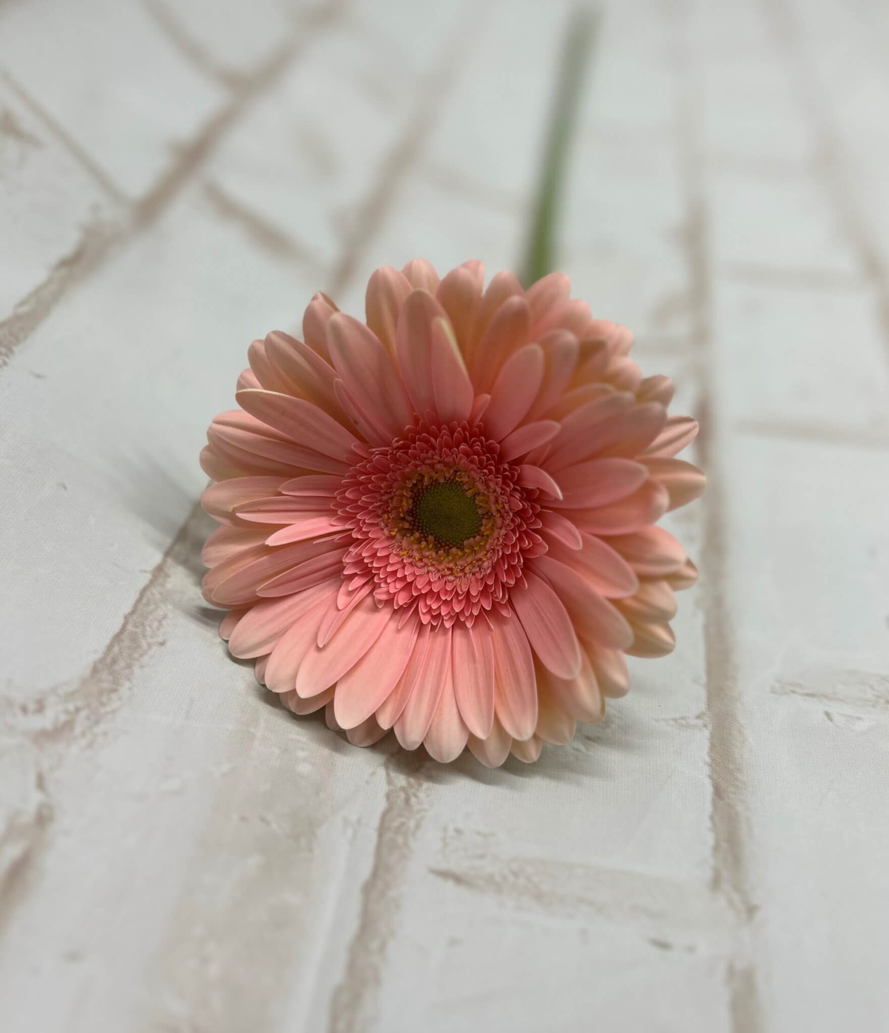 About Pyramid Flowers - California Flower Grower